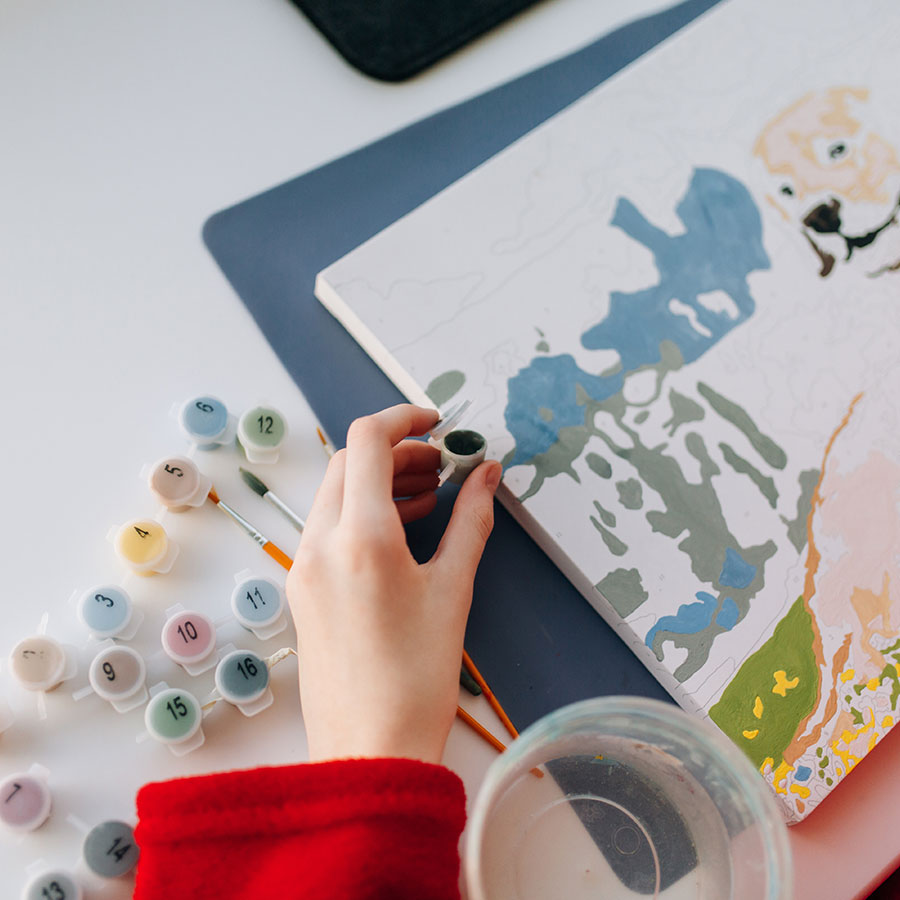 Custom Stretched on a Frame Paint by Numbers Kit – Artdiystudio